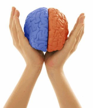 Whole Brain Communication | Sandy Gluckman