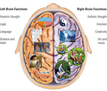 Are You a Left or Right Brained Thinker? | Sandy Gluckman
